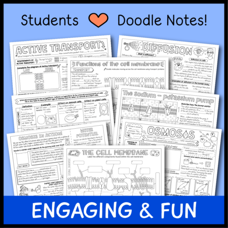 Cell Transport Doodle Notes - Unit Bundle - Emmatheteachie