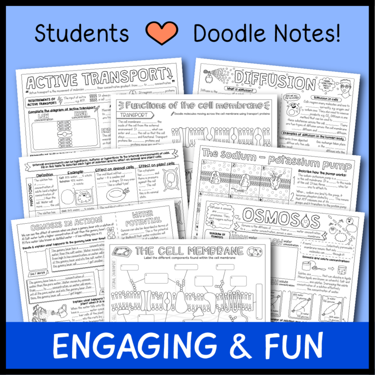 Cell Transport Doodle Notes - Unit Bundle - Emmatheteachie
