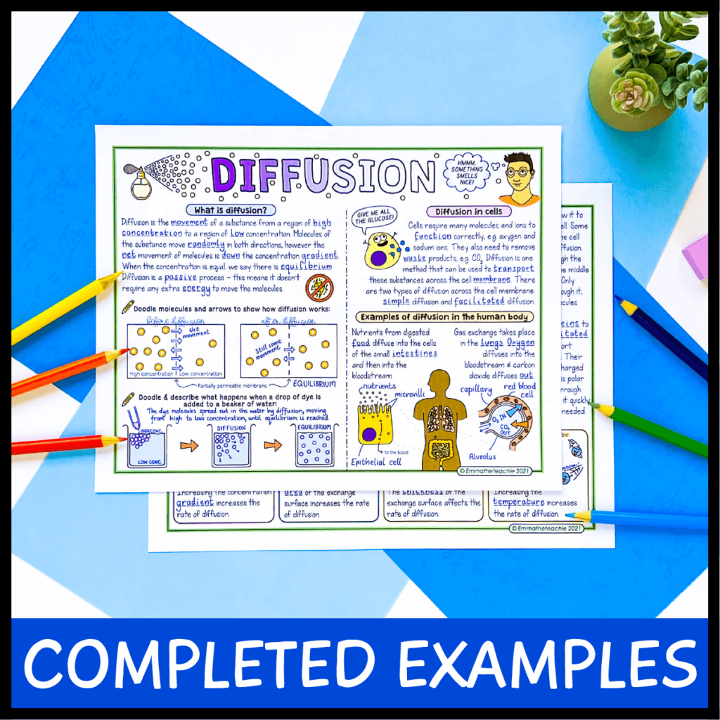 Cell Transport Doodle Notes - Unit Bundle - Emmatheteachie