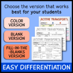 Cell Transport Doodle Notes - Unit Bundle - Emmatheteachie