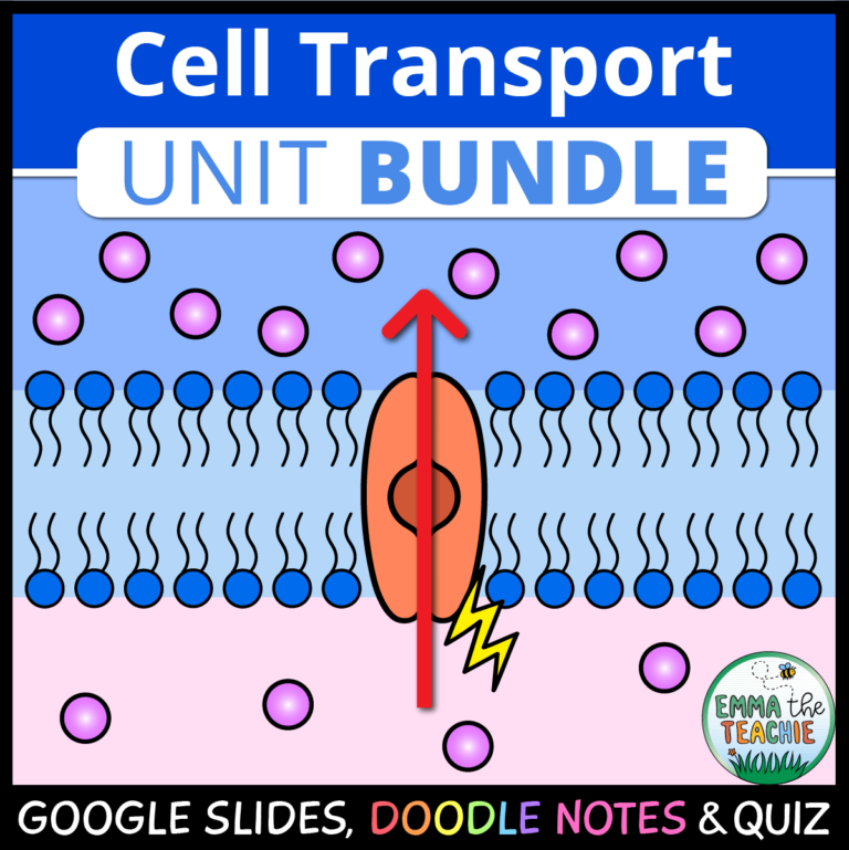 Cell Transport Big Unit Bundle - Emmatheteachie Resources