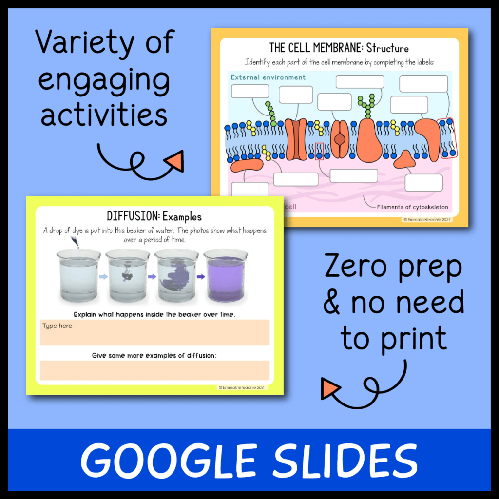 Cell Transport Big Unit Bundle - Emmatheteachie Resources