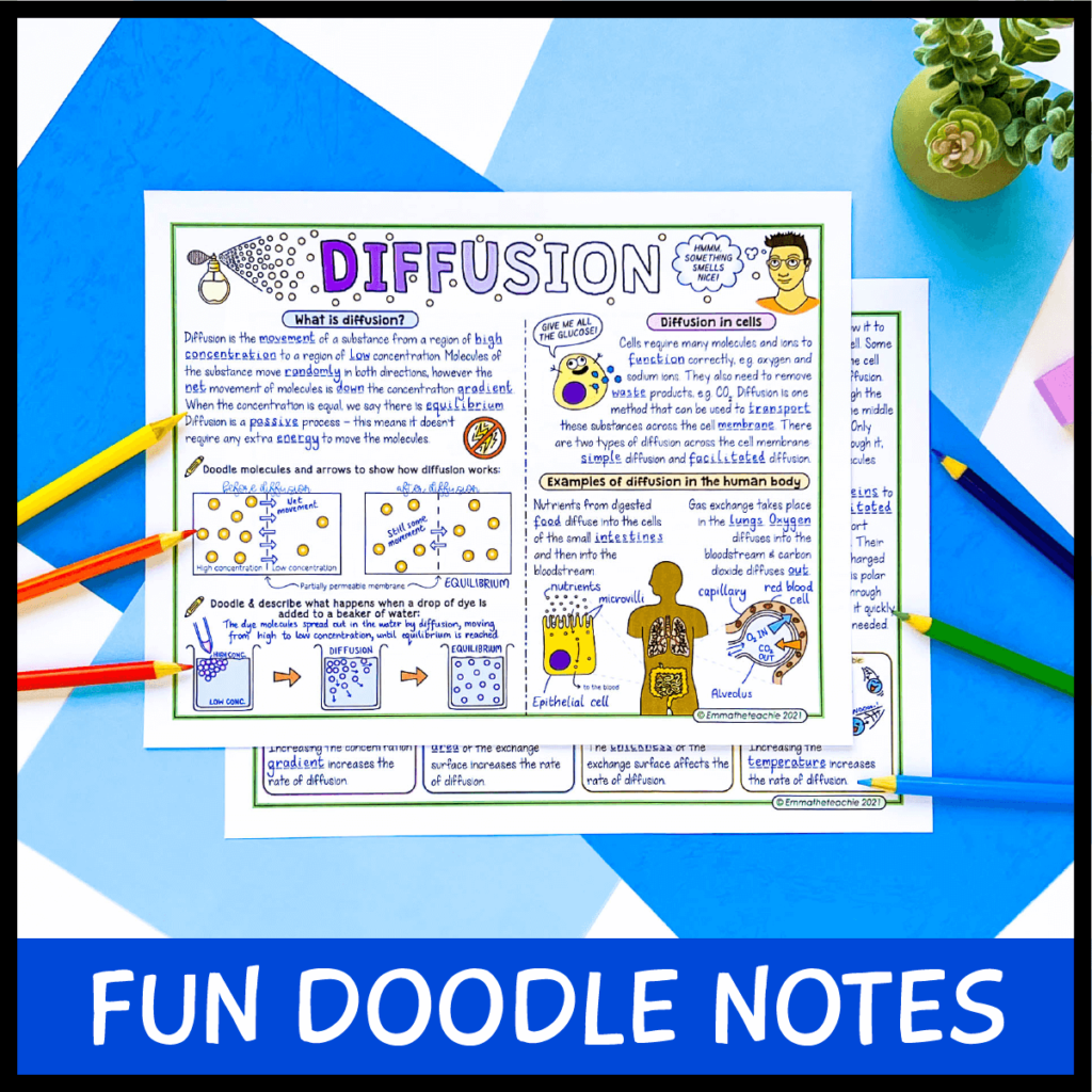 Cell Transport Big Unit Bundle - Emmatheteachie Resources