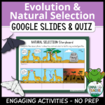 Evolution and Natural Selection Google Slides - Emmatheteachie