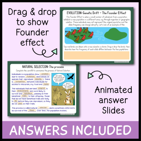 Evolution and Natural Selection Google Slides - Emmatheteachie