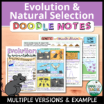 Evolution and Natural Selection Doodle Notes - Emmatheteachie