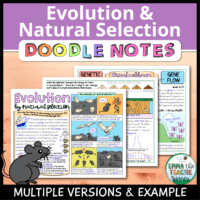 Evolution and Natural Selection Doodle Notes - Emmatheteachie
