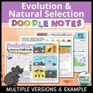 Evolution and Natural Selection Doodle Notes - Emmatheteachie