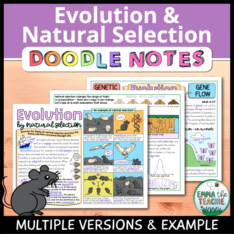 Evolution and Natural Selection Doodle Notes - Emmatheteachie