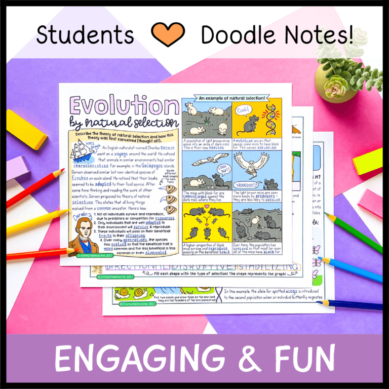 Evolution and Natural Selection Doodle Notes - Emmatheteachie