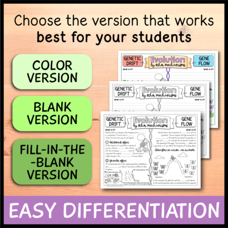 Evolution and Natural Selection Doodle Notes - Emmatheteachie