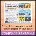 Evolution and Natural Selection Doodle Notes - Emmatheteachie