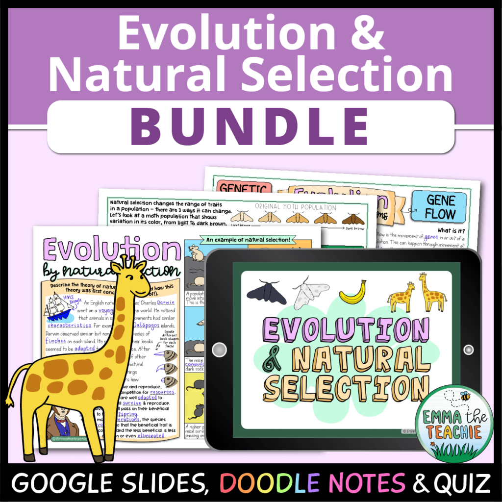 Evolution and Natural Selection Doodle Notes - Emmatheteachie
