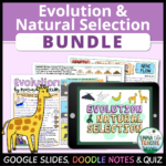 Evolution and Natural Selection Doodle Notes - Emmatheteachie