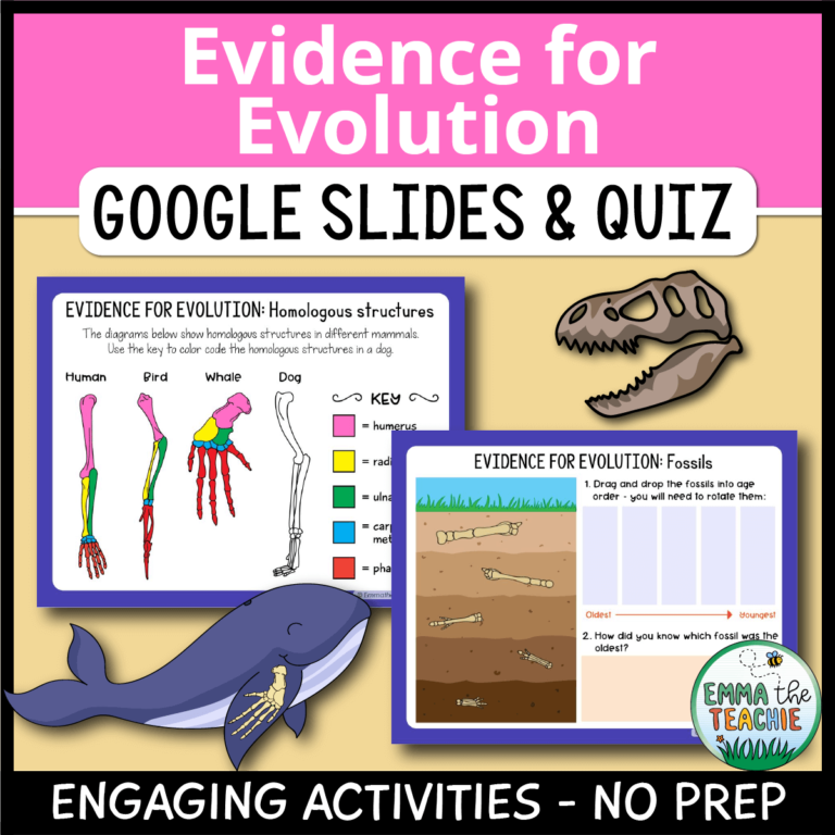 Evidence for Evolution Google Slides - Emmatheteachie