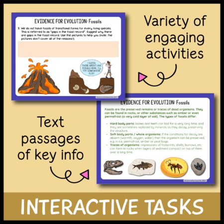 Evidence for Evolution Google Slides - Emmatheteachie