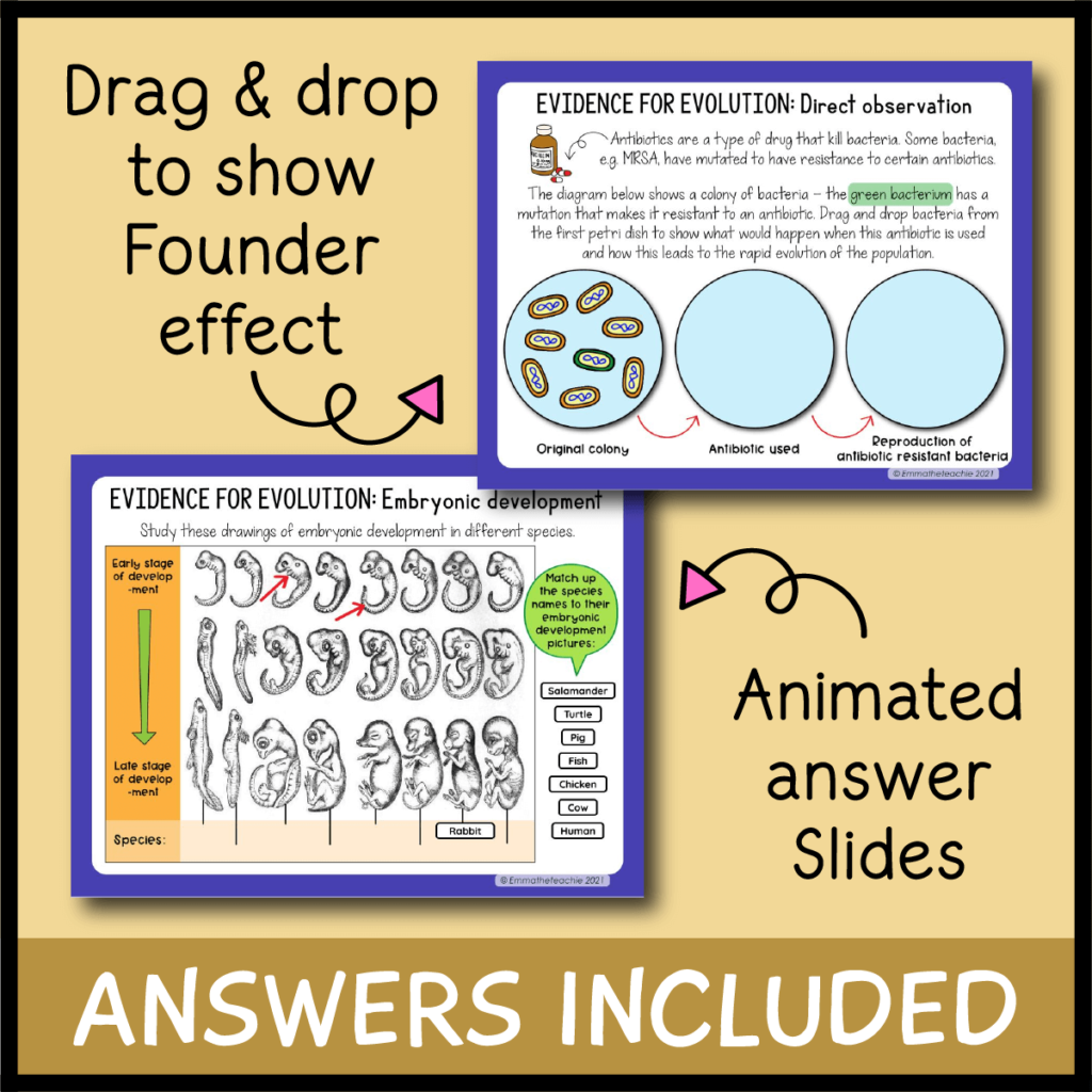 Evidence for Evolution Google Slides - Emmatheteachie
