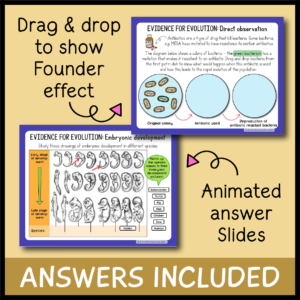 Evidence for Evolution Google Slides - Emmatheteachie