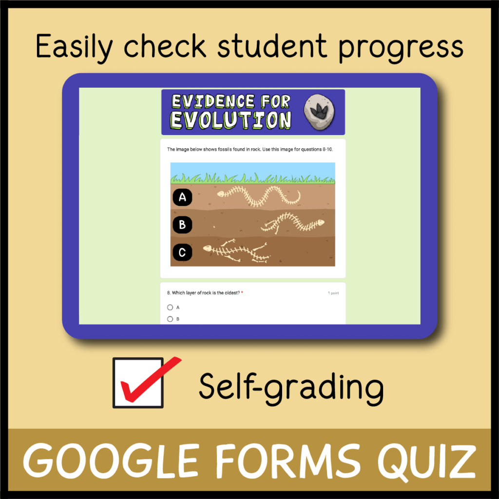 Evidence for Evolution Google Slides - Emmatheteachie