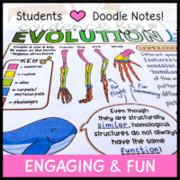 Evidence for Evolution Doodle Notes - Emmatheteachie