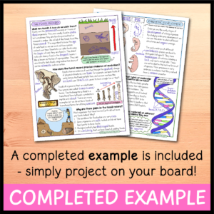 Evidence for Evolution Doodle Notes - Emmatheteachie