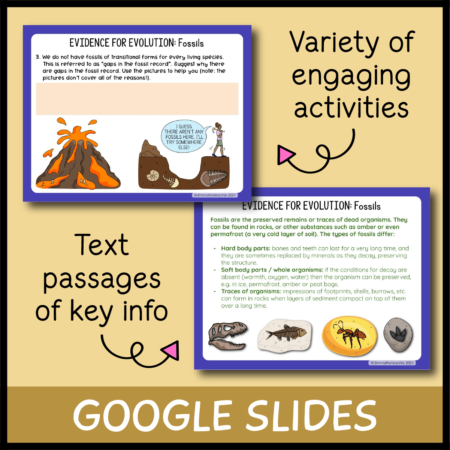 Evidence for Evolution Lesson Bundle - Emmatheteachie