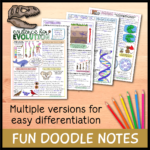 Evidence for Evolution Lesson Bundle - Emmatheteachie