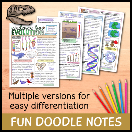Evidence for Evolution Lesson Bundle - Emmatheteachie