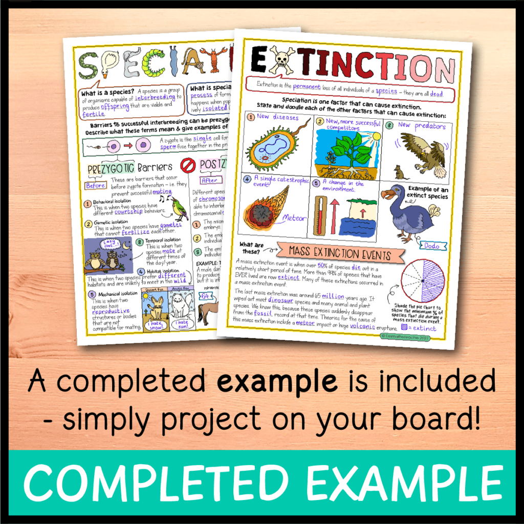 Speciation and Extinction Doodle Notes - Emmatheteachie