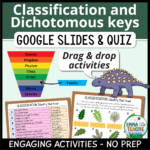 Classification & Dichotomous Keys - Google Slides Activities