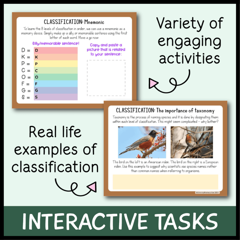 Classification & Dichotomous Keys - Google Slides Activities