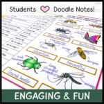 Classification and Dichotomous Keys - Doodle Notes