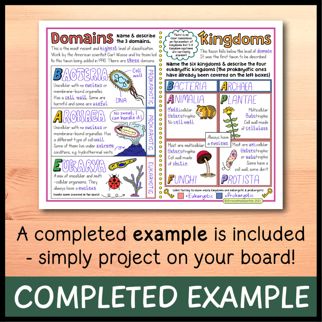 Classification and Dichotomous Keys - Doodle Notes