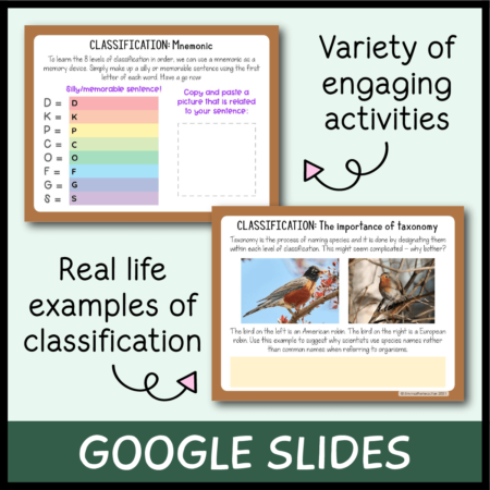 Classification and Dichotomous Keys - Lesson Bundle