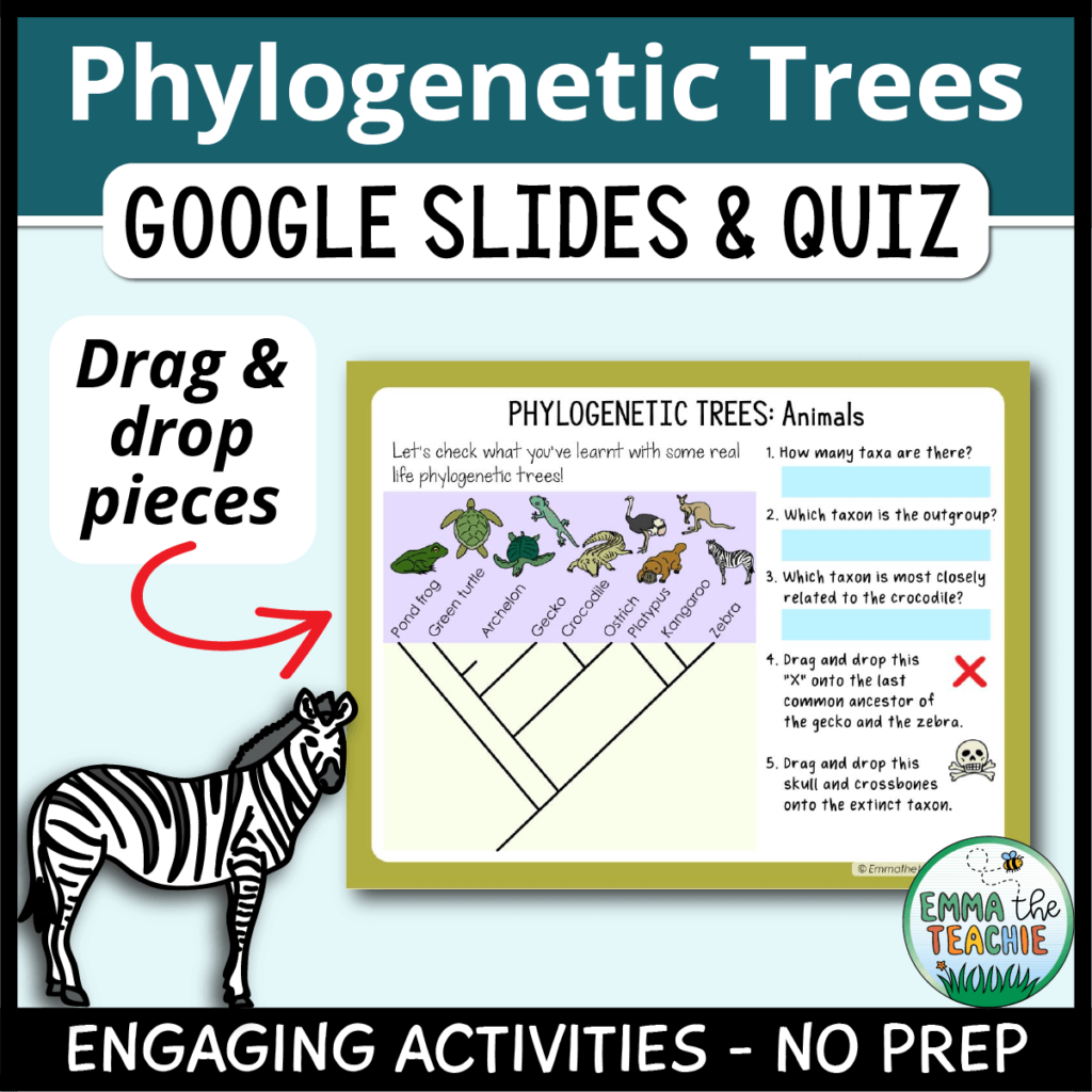 Phylogenetic Trees Google Slides - Emmatheteachie