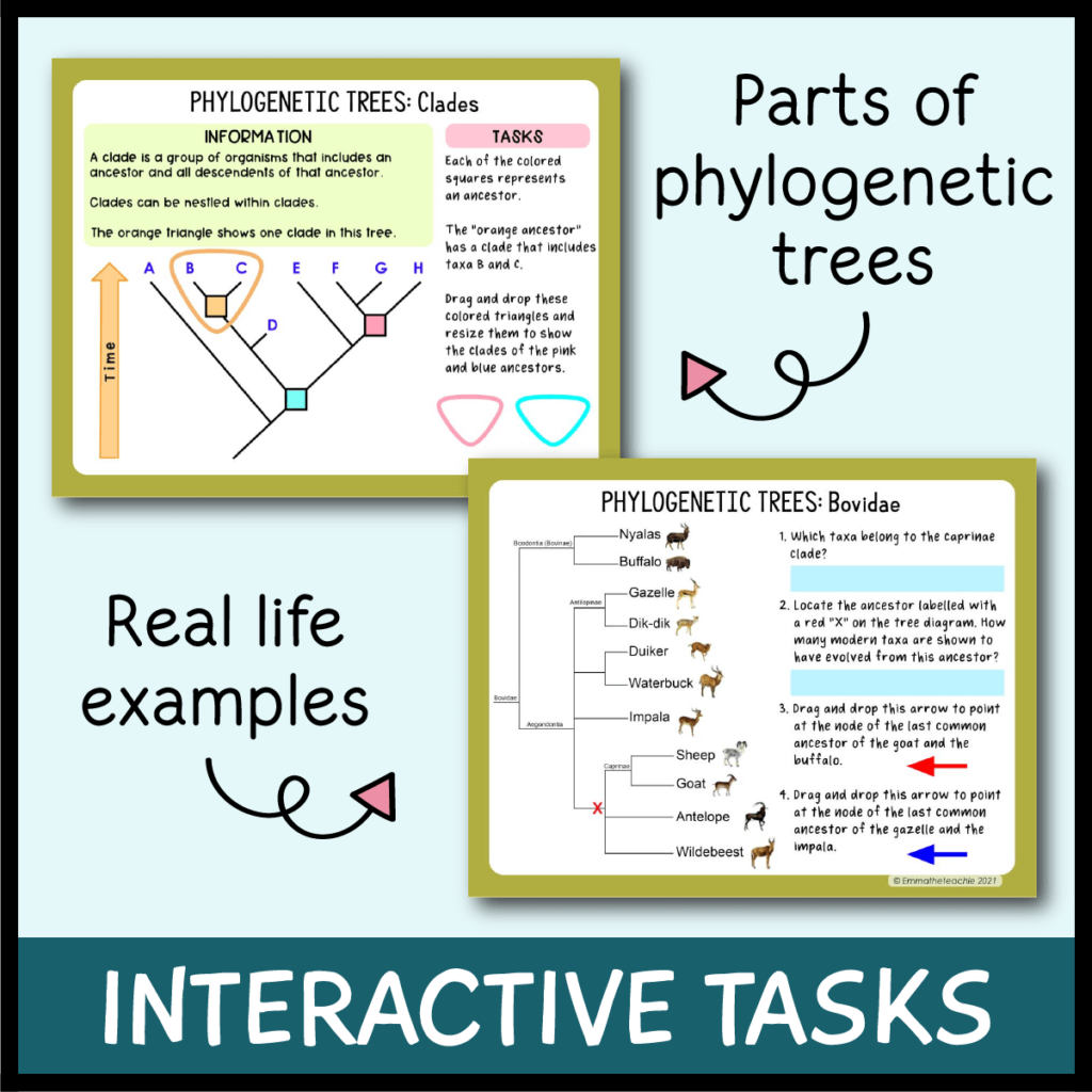 Phylogenetic Trees Google Slides - Emmatheteachie