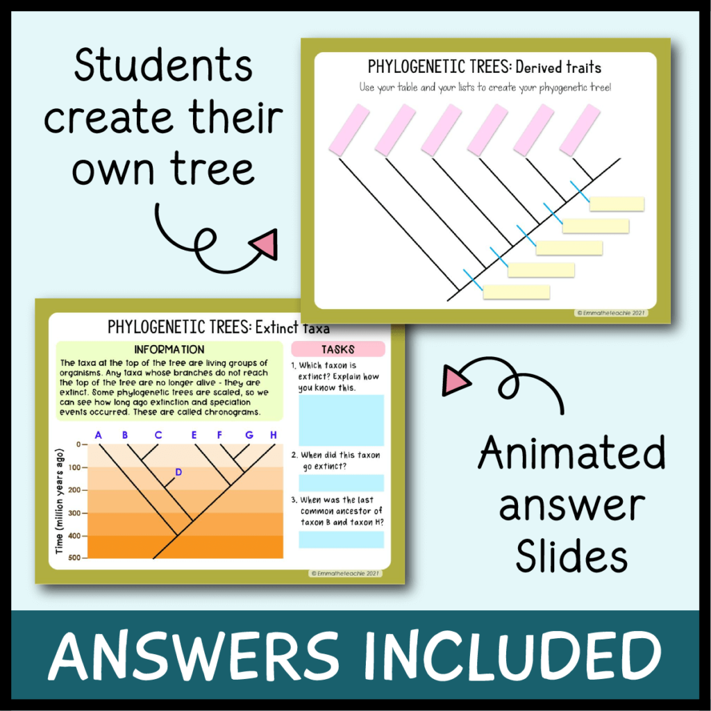 Phylogenetic Trees Google Slides - Emmatheteachie