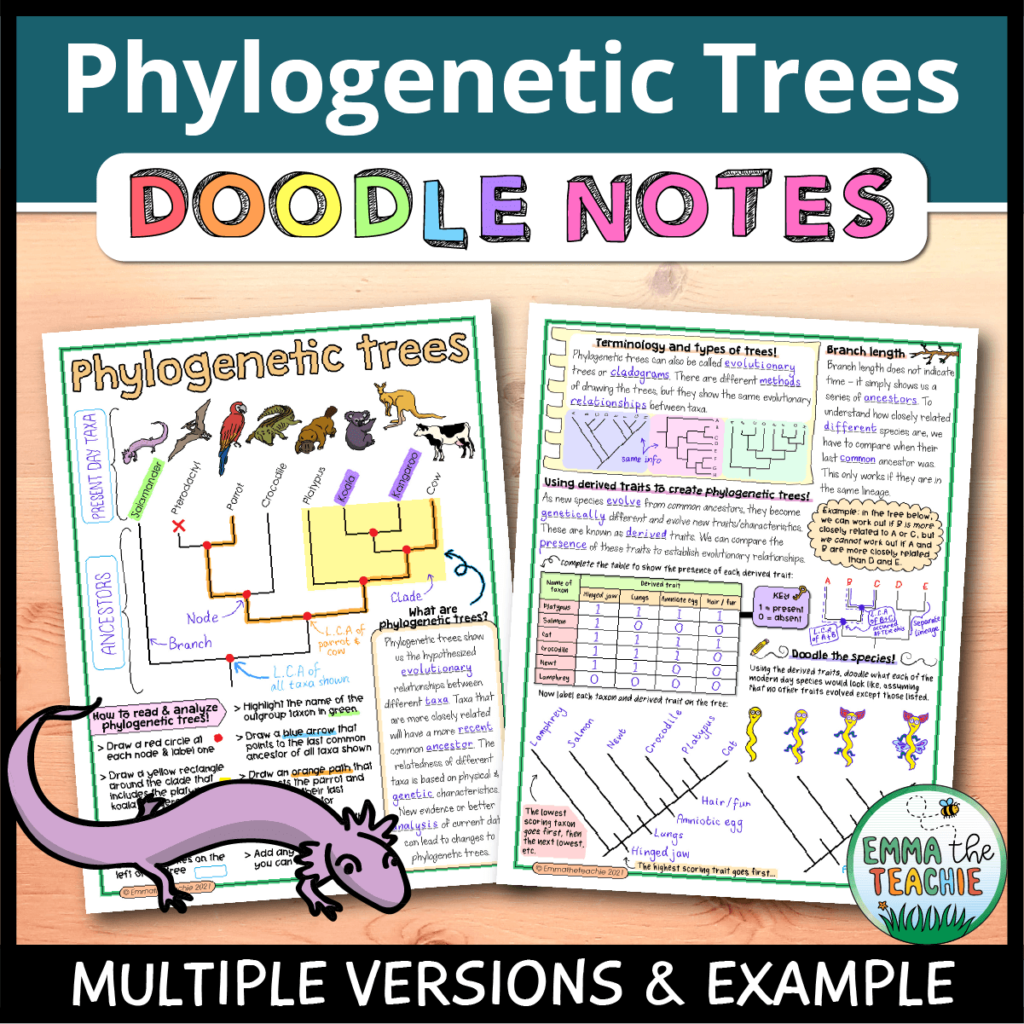 Phylogenetic Trees Doodle Notes - Emmatheteachie