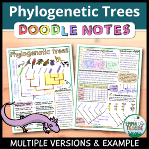 Phylogenetic Trees Lesson Bundle - Emmatheteachie Resources