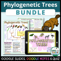 Phylogenetic Trees Lesson Bundle - Emmatheteachie Resources
