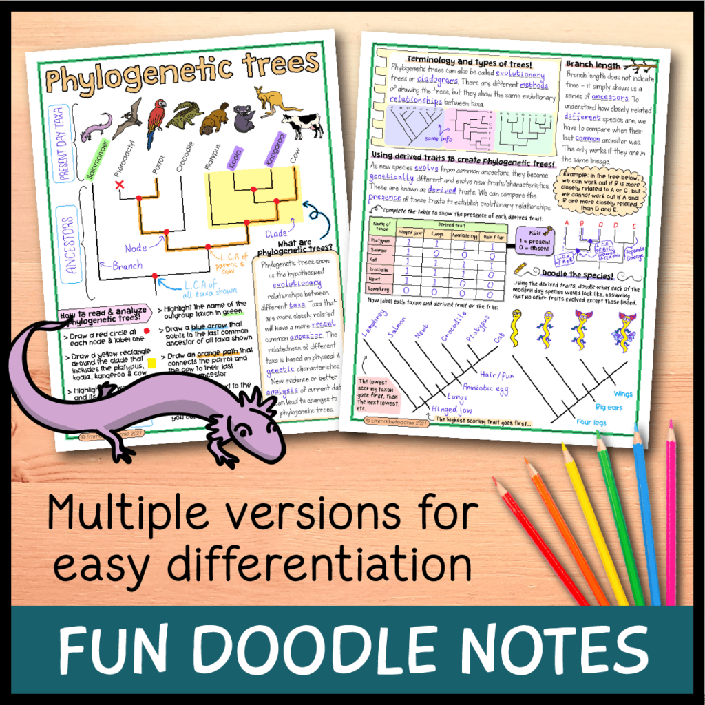 Phylogenetic Trees Lesson Bundle - Emmatheteachie Resources