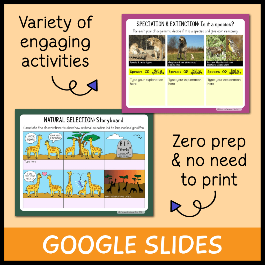 Evolution and Classification Unit Bundle - Google Slides Activities