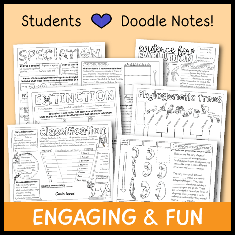Evolution and Classification Unit Bundle Doodle Notes - Emmatheteachie