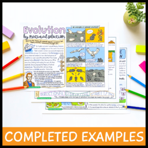 Evolution and Classification Unit Bundle Doodle Notes - Emmatheteachie