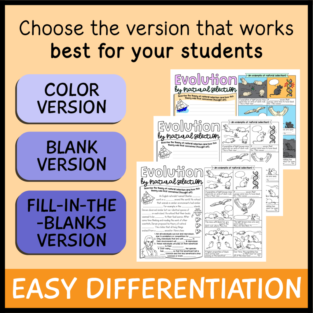 Evolution and Classification Unit Bundle Doodle Notes - Emmatheteachie