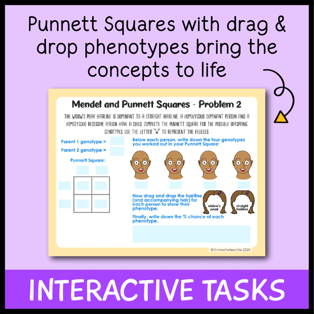 Mendel and Punnett Squares Google Slides - Emmatheteachie