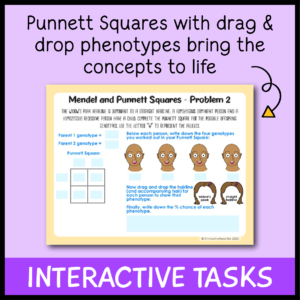 Mendel and Punnett Squares Google Slides - Emmatheteachie