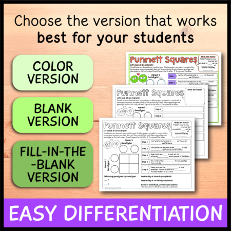 Mendel and Punnett Squares Doodle Notes - Emmatheteachie
