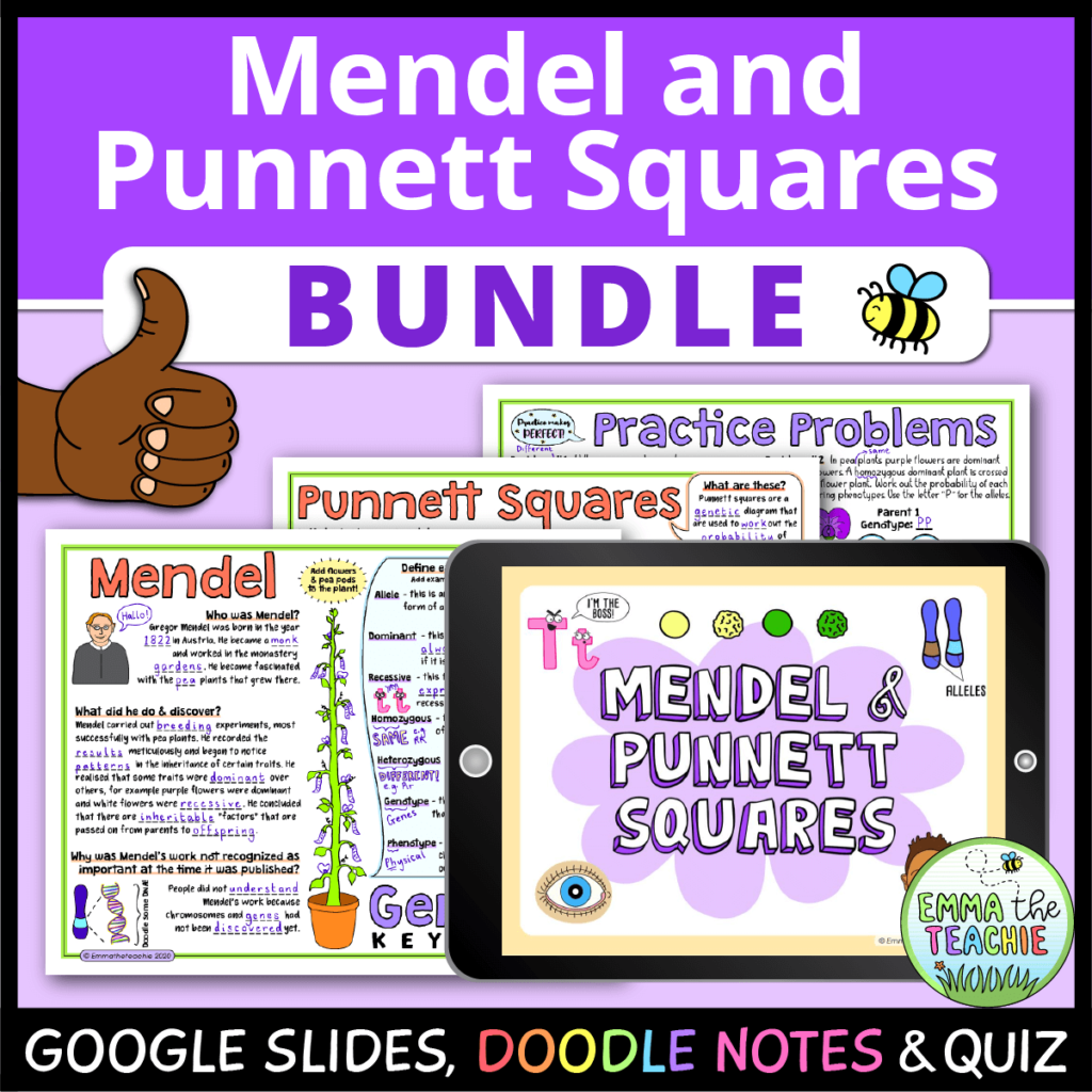4 Ideas for Your Punnett Squares Lesson Activities - Emmatheteachie Blog
