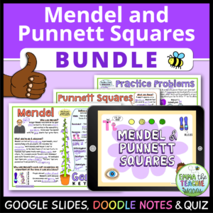 Mendel and Punnett Squares Doodle Notes - Emmatheteachie